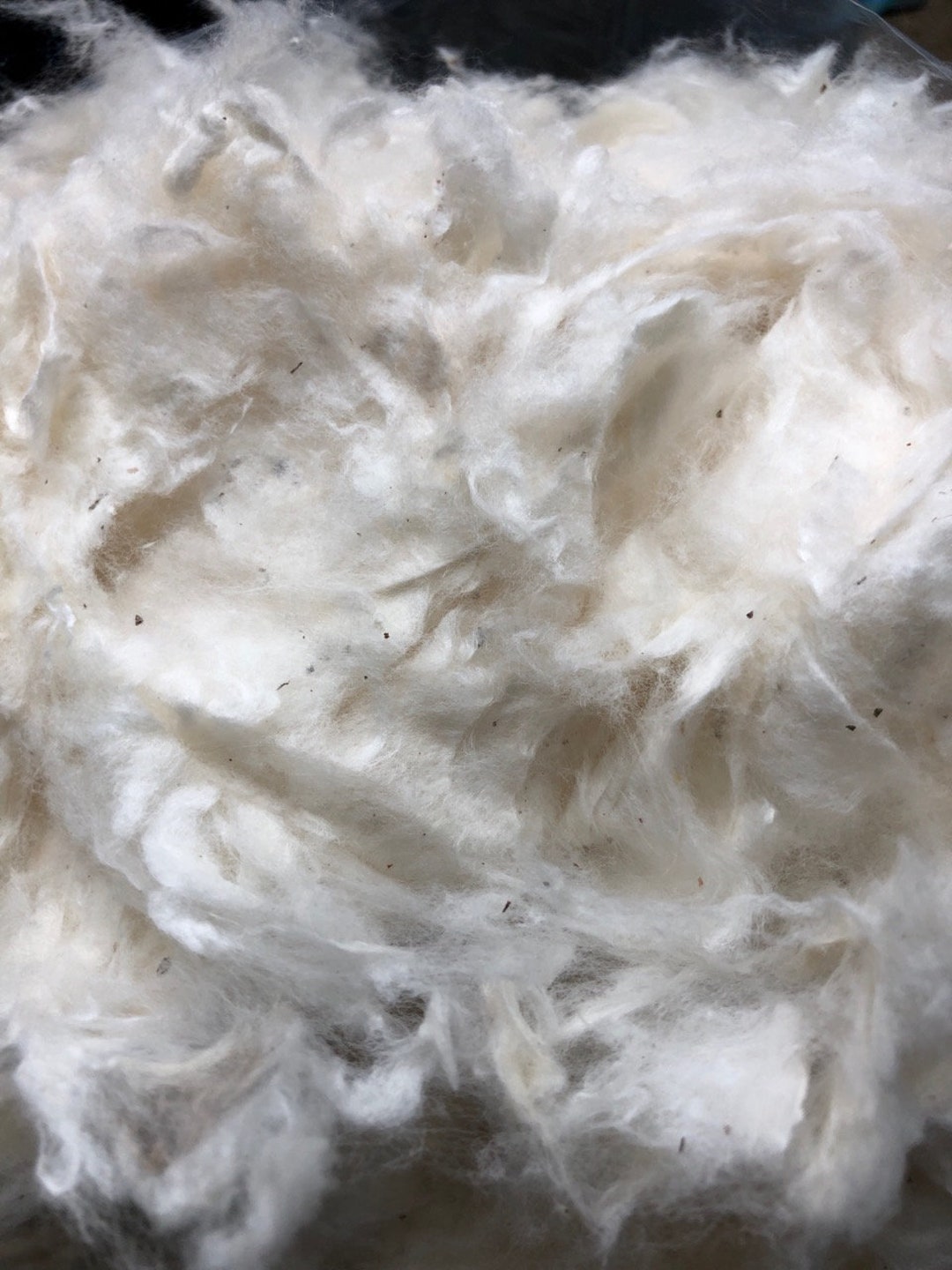 Raw Cotton, Domestic, Organic, Natural Cotton for Spinning, Felting, or ...