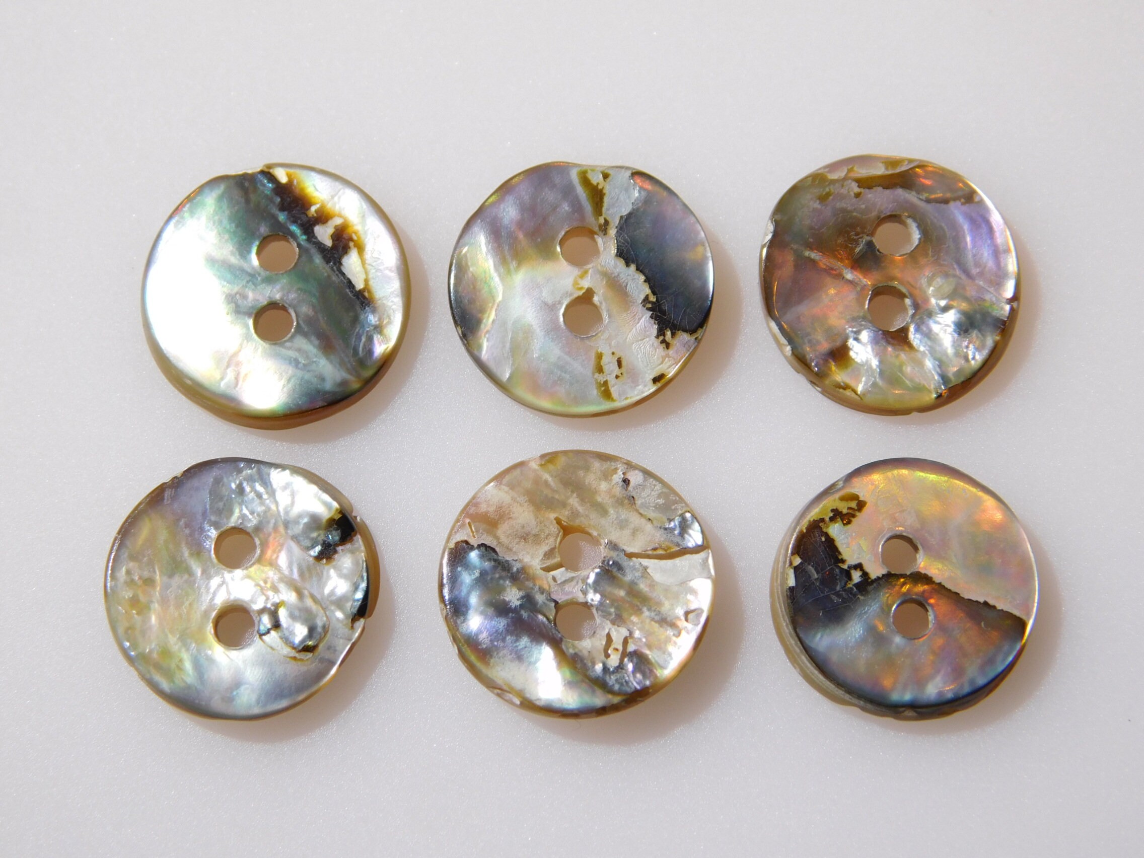 Set of 6 Vintage Abalone Seashell Button 1/2 Inch Natural | Etsy