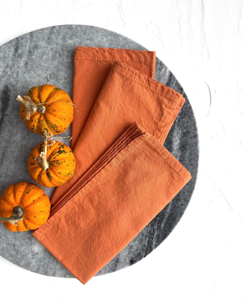 Cotton Cloth Napkins Set 4: Washed Pre-shrunk 16-inch Reusable Everyday ...
