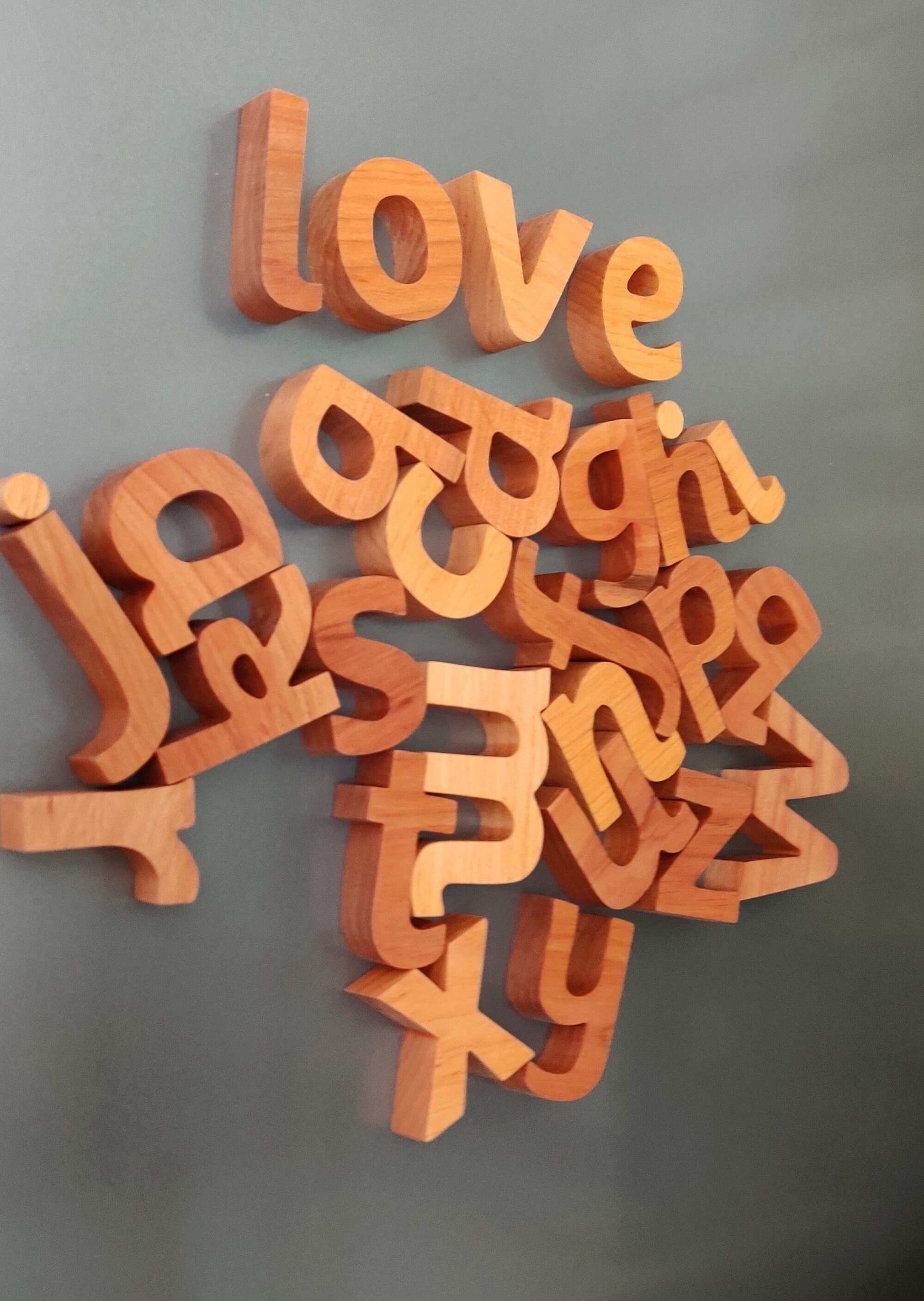 Magnets Lowercase Letters Montessori Alphabet Lowercase ABC - Etsy