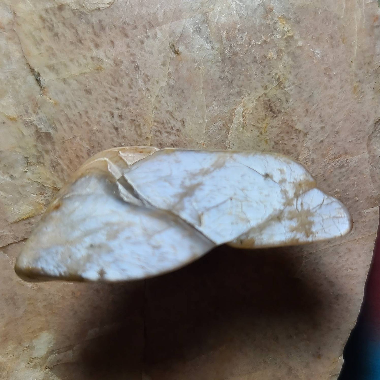 Huge Tumbled AA Rainbow Lattice Sunstone Lattice All the Way - Etsy