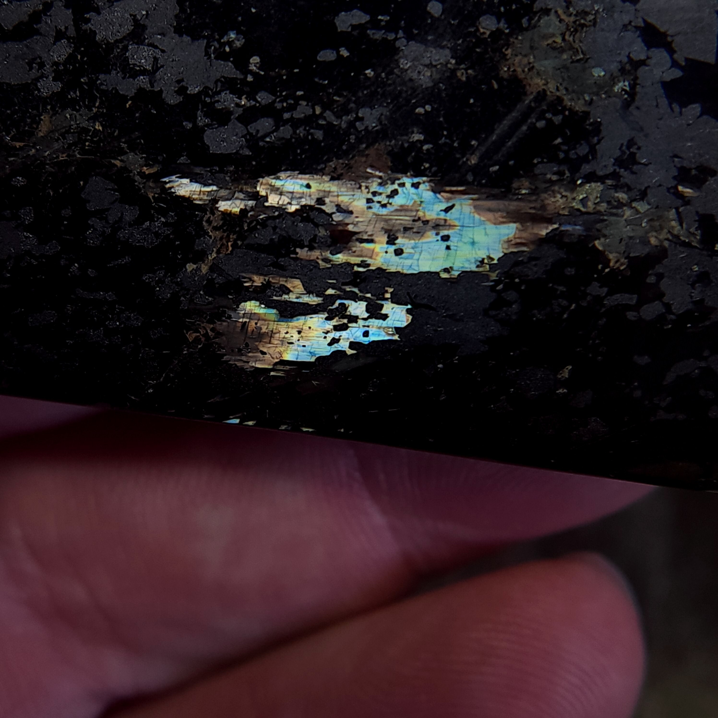 Extra Large Big Blue and Red Flash Nuumite Polished Specimen - Etsy