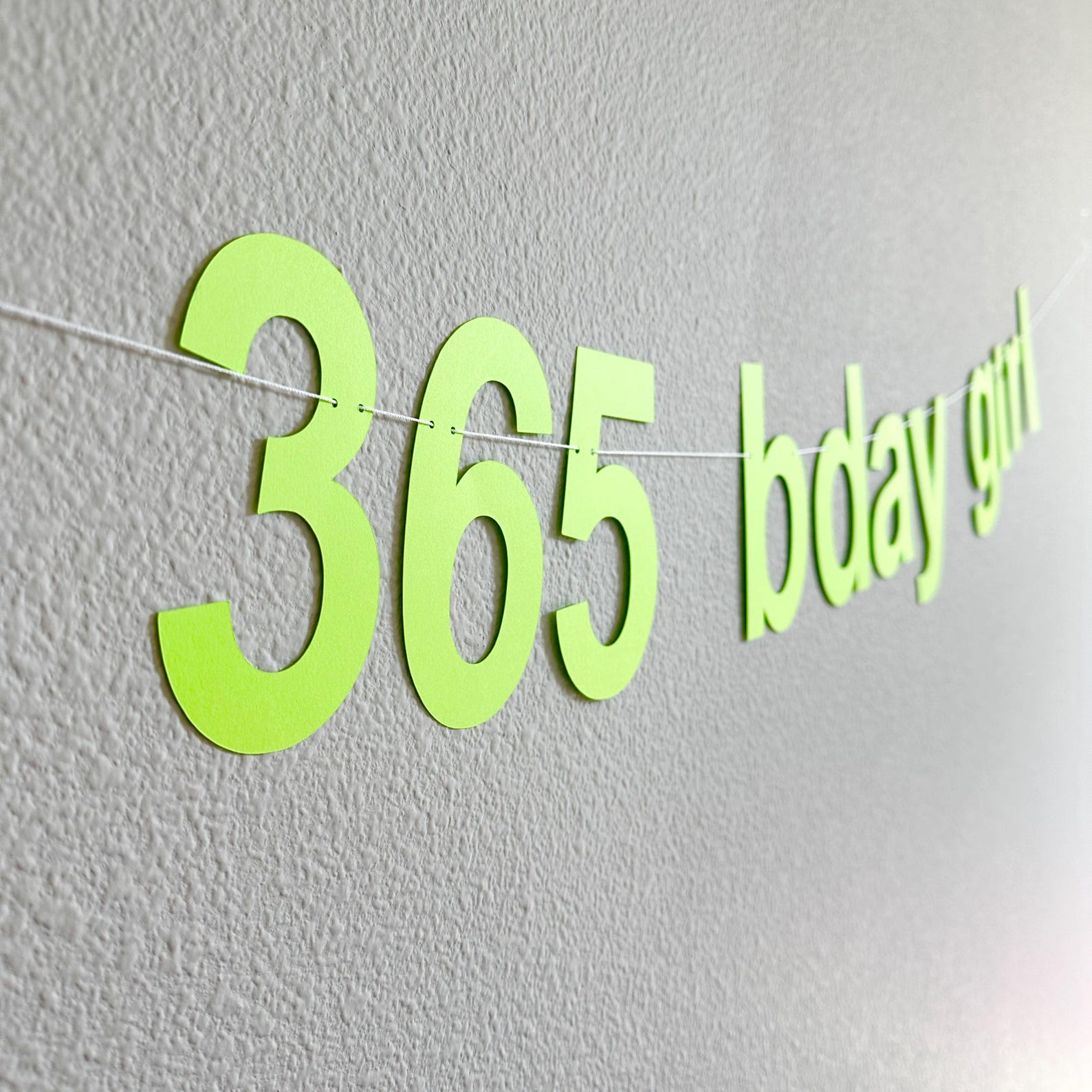 365 Bday Girl, 365 Bday Girl Banner, 365 Bday Girl Decorations, Brat ...