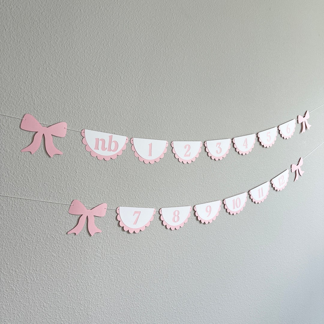 Milestones Banner, Coquette Themed Milestone, Monthly Milestones, Pink ...
