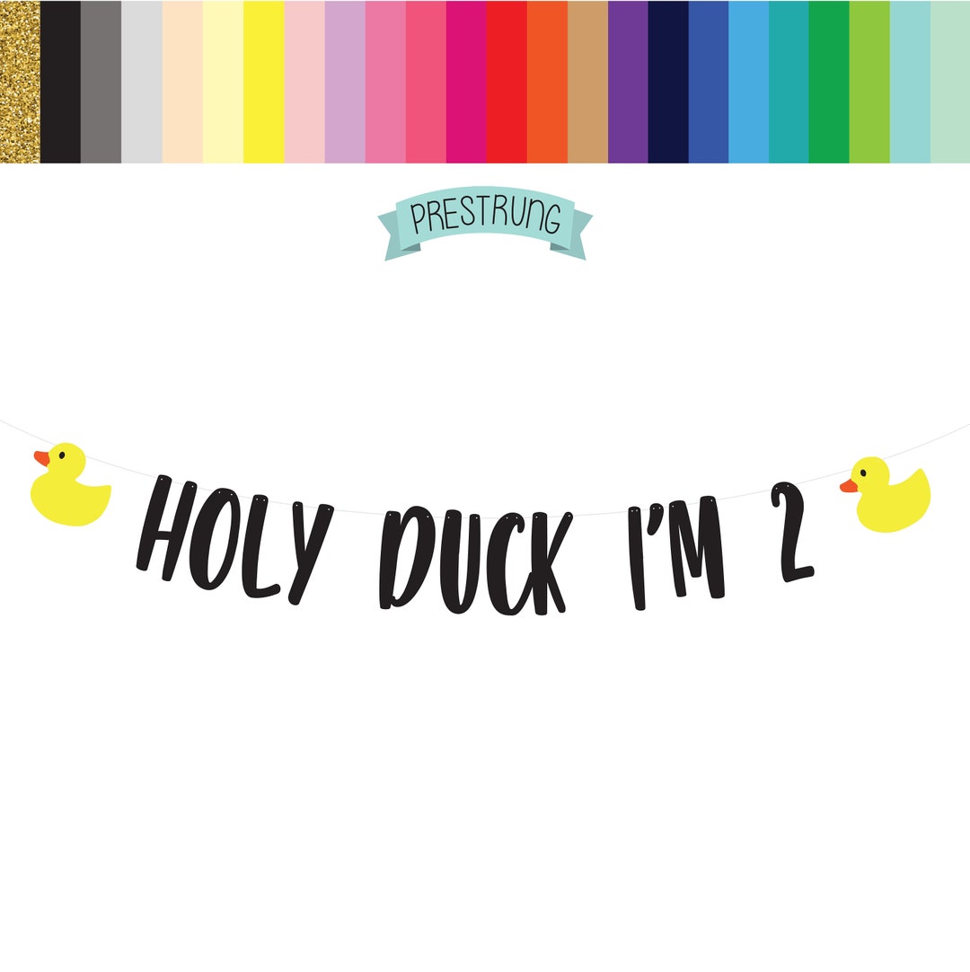 Holy Duck I'm 2 Duck Garland Duck Decorations Duck - Etsy