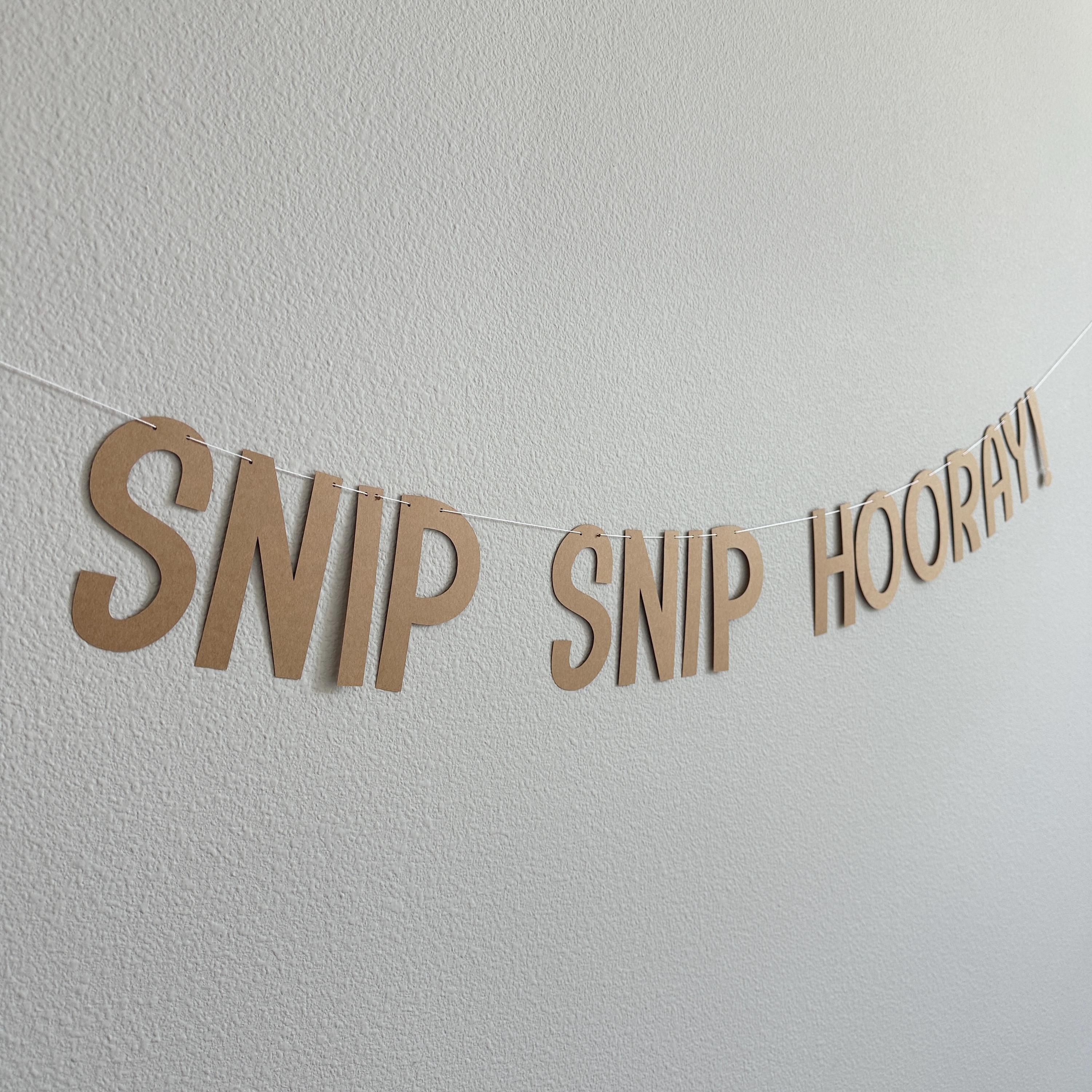 Snip Snip Hooray, Vasectomy Decorations, Vasectomy Celebration, Surgery ...