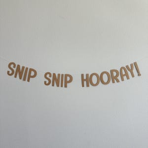 Snip Snip Hooray, Vasectomy Decorations, Vasectomy Celebration, Surgery ...