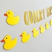 Quacky Birthday, Duck Birthday Banner, Duck Themed Birthday Party ...