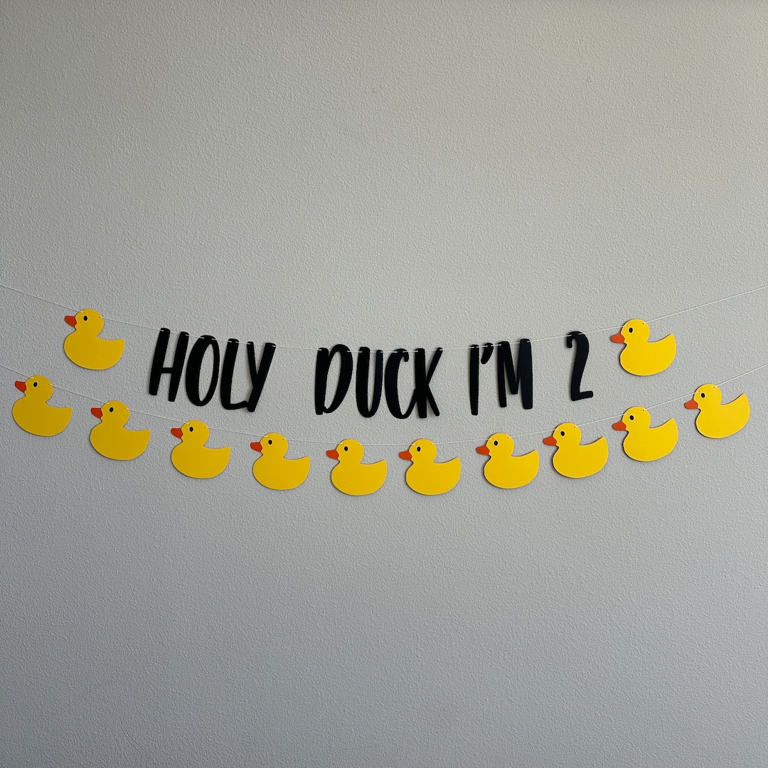 Holy Duck I'm 2, Duck Garland, Duck Decorations, Duck Birthday, Duck ...