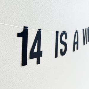 14 is A Vibe, 14th Birthday Banner, 14th Birthday Party Ideas, Fourteen ...