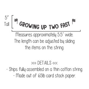Growing up Two Fast, Growing up Two Fast Banner, Racing Decorations ...