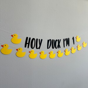 Holy Duck I'm 1, Duck 1at Birthday, Duck Decorations, Duck Birthday ...