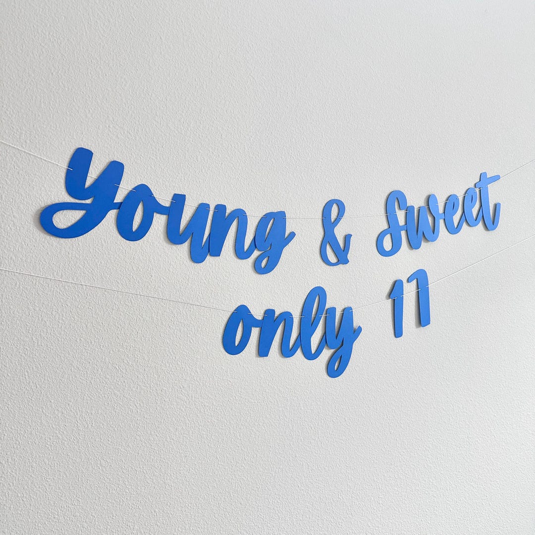 Young Sweet & 17, 17th Birthday Banner, 17th Birthday Party Theme Ideas ...