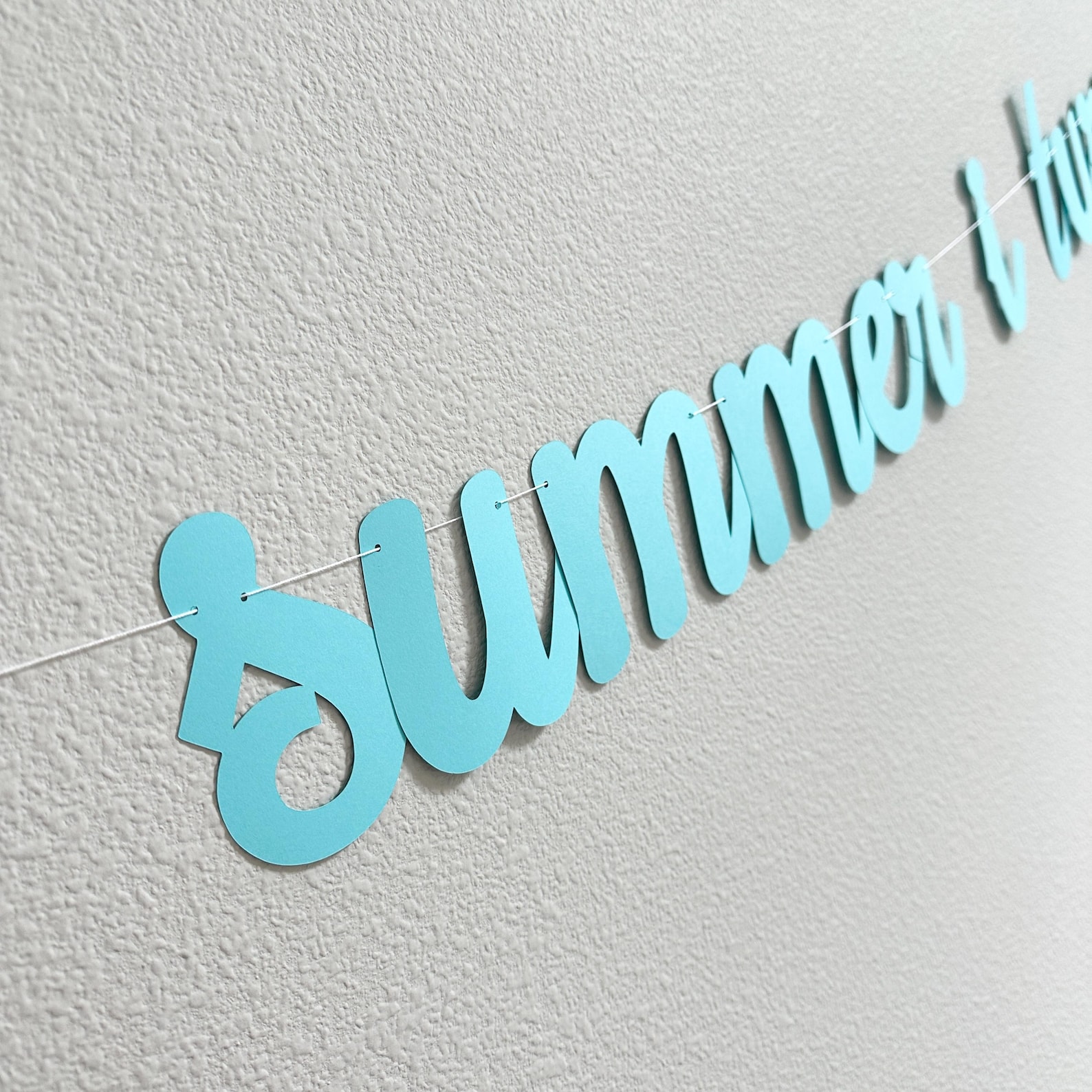The Summer I Turned 12, Summertime Birthday Banner, Summer Birthday ...