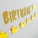 Quacky Birthday, Duck Birthday Banner, Duck Themed Birthday Party ...
