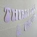 Thirty Flirty & Thriving, 30th Birthday, 30th Birthday Decorations ...