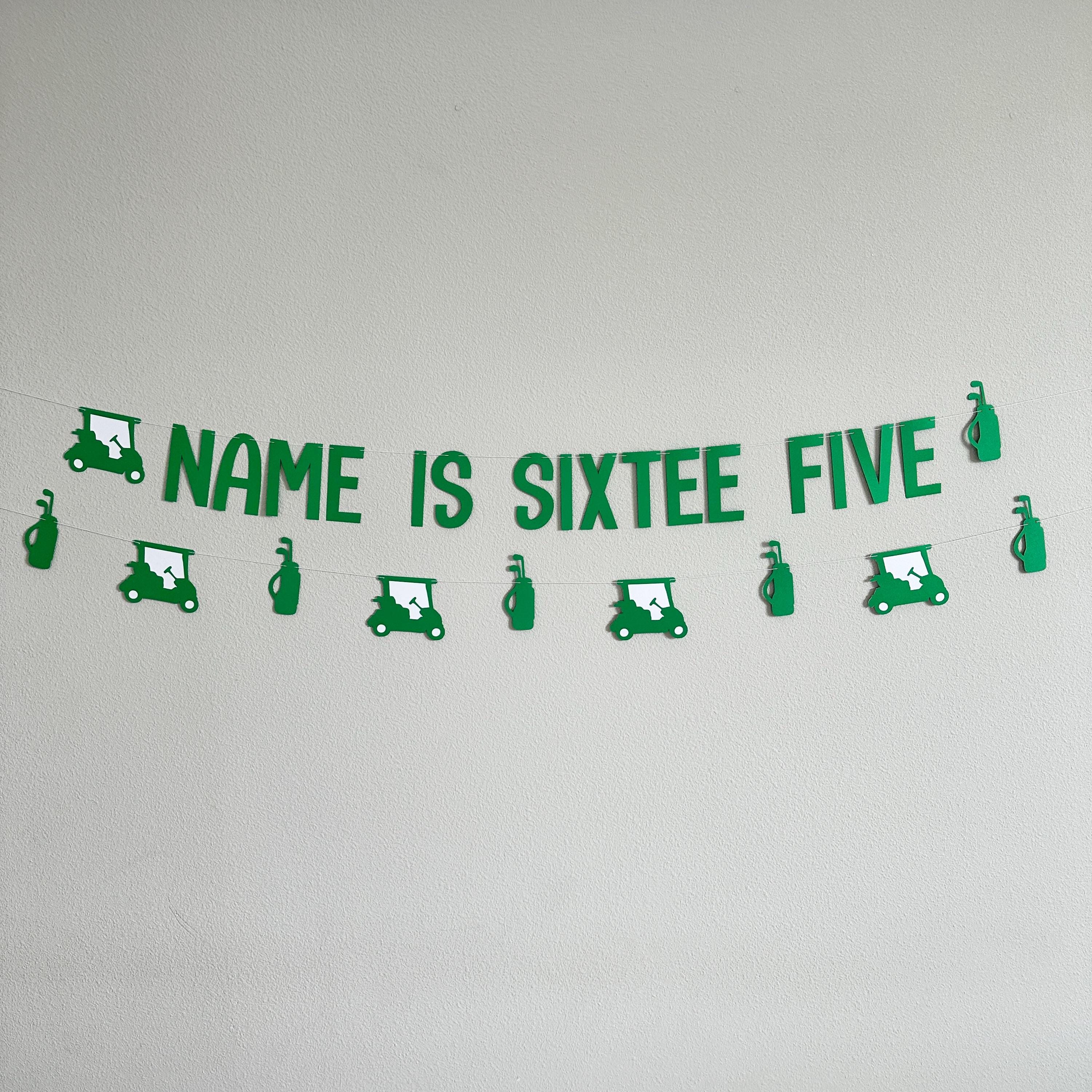 Name is Sixtee Five, 65th Birthday Banner, Golf Themed Birthday Banner ...