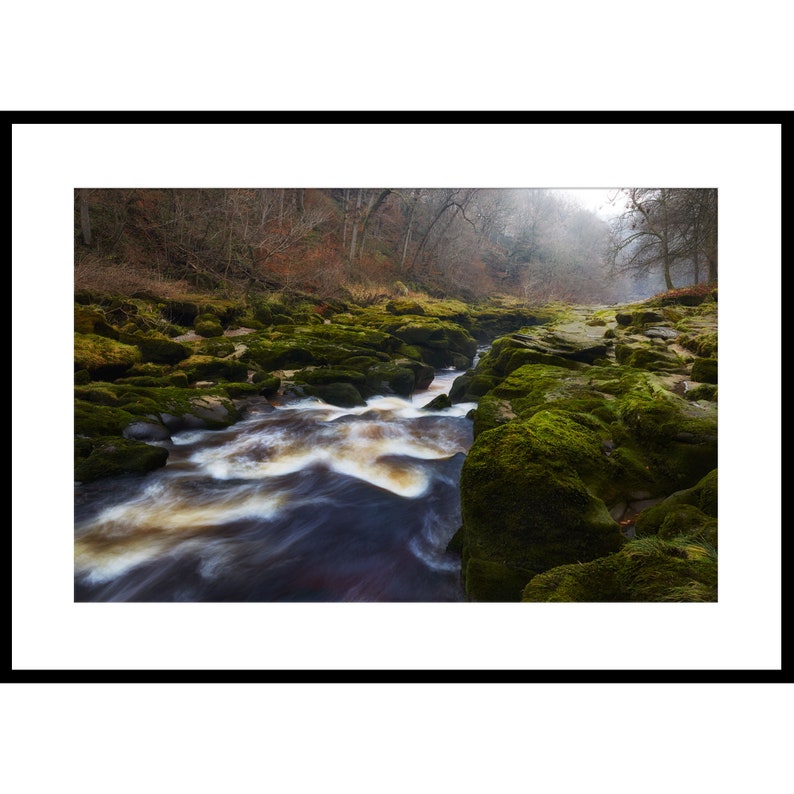 The Strid Bolton Abbey Strid Woods River Wharfe North - Etsy