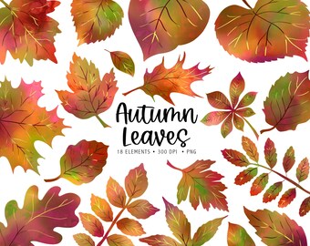 Watercolor Autumn Leaves Clipart Hand Painted Fall Leaf - Etsy