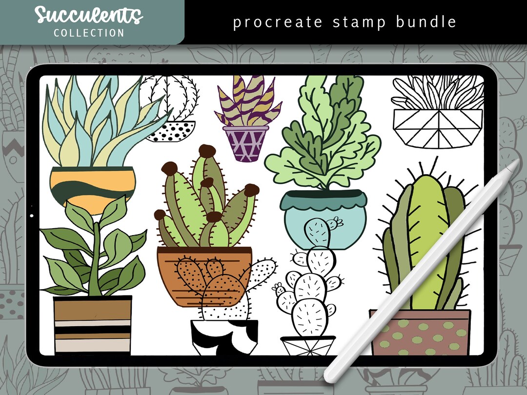 Succulents Procreate Stamp Pack – 18 Cactus & Plant Stamps (digital ...