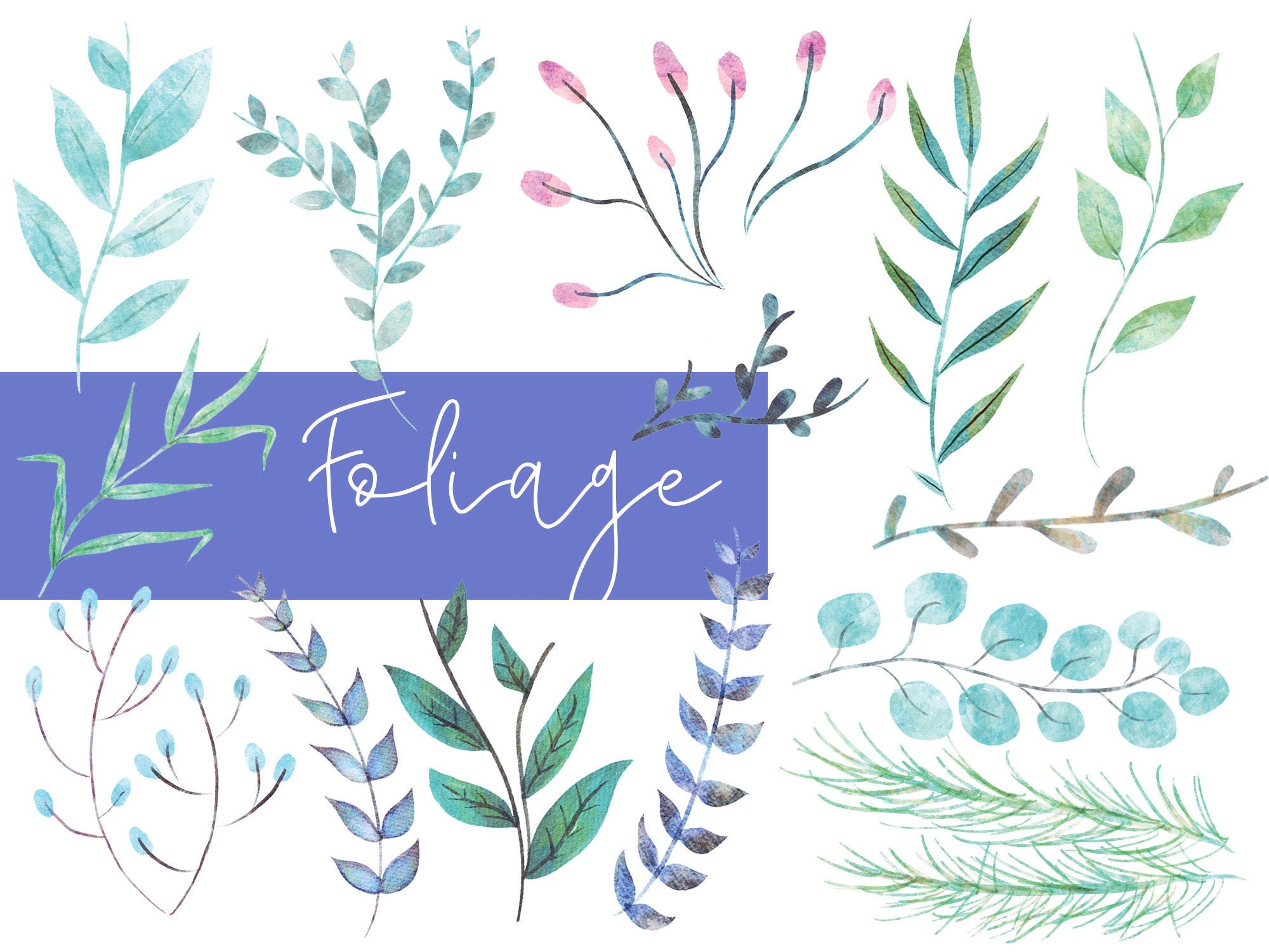 Foliage Watercolor Clipart Greenery Clip Art Eucalyptus - Etsy