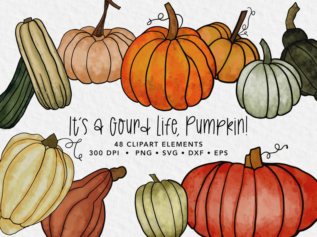 Pumpkin SVG Bundle, Gourd Art, Thanksgiving PNG, Hand-drawn Autumn ...