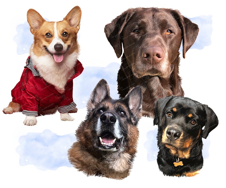Dog PNG Files Puppy Illustrations Dog Art Pet Puppy Puppy | Etsy