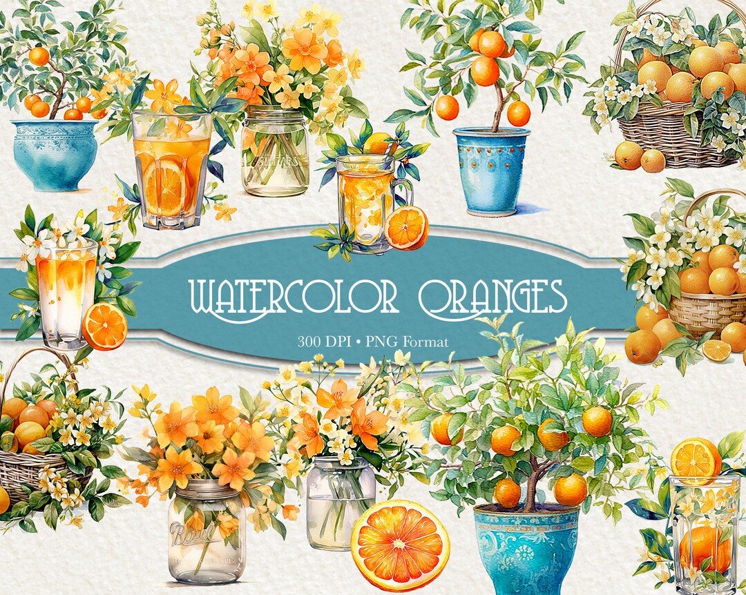 Watercolor Oranges Clipart - Digital Png Citrus, Fruit Graphics for ...