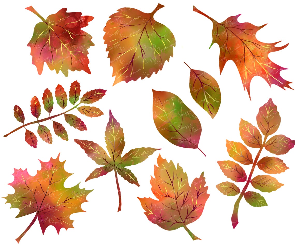 Autumn Leaves Clipart Watercolor Fall Leaves Clipart Autumn - Etsy