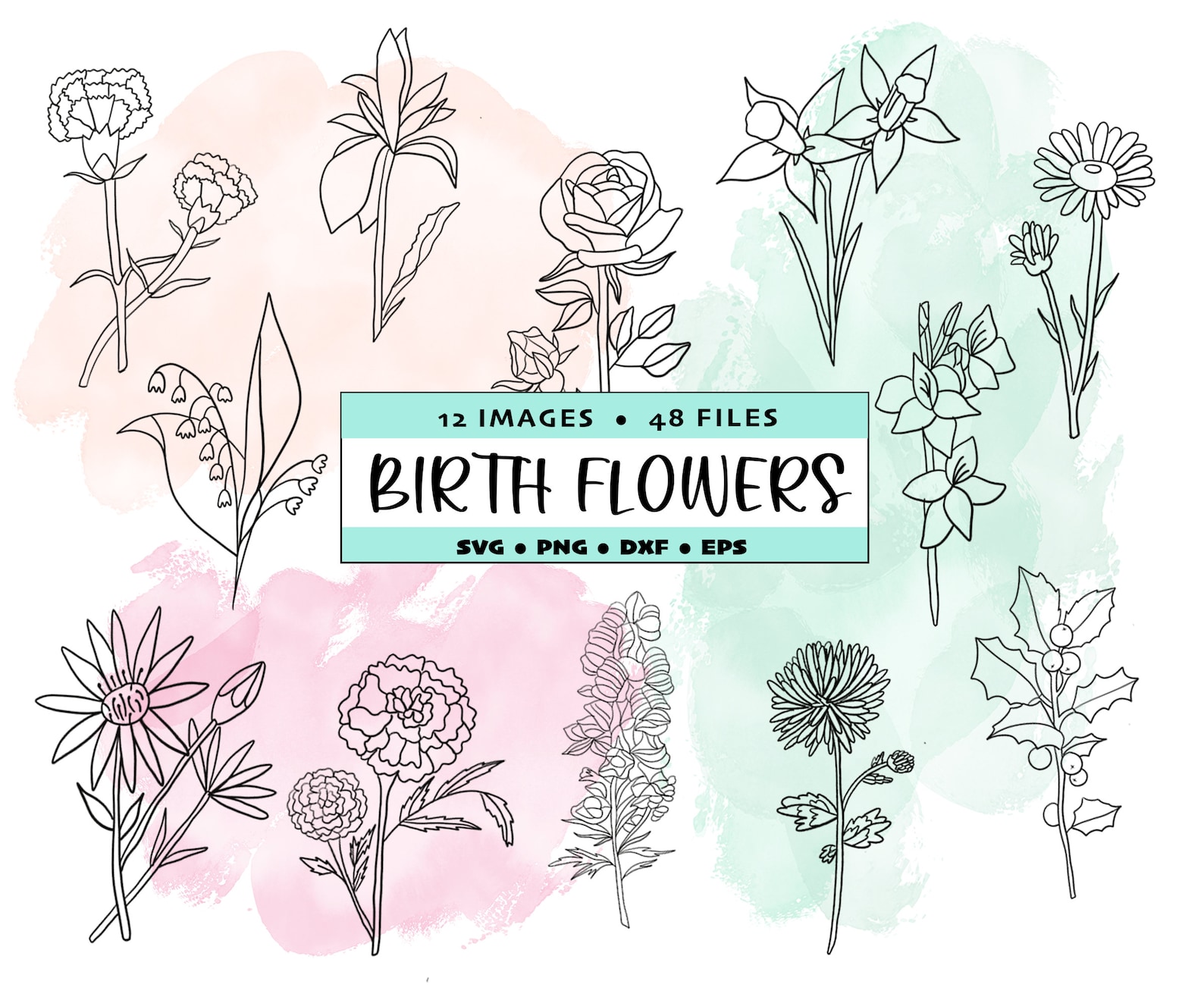 Birth Month Flowers Svg | Birthday Flower, Birth Flower Clipart, Flower ...