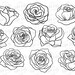 30 Rose Procreate Stamps, Rose Brushes for Projects, Rose Tattoo ...