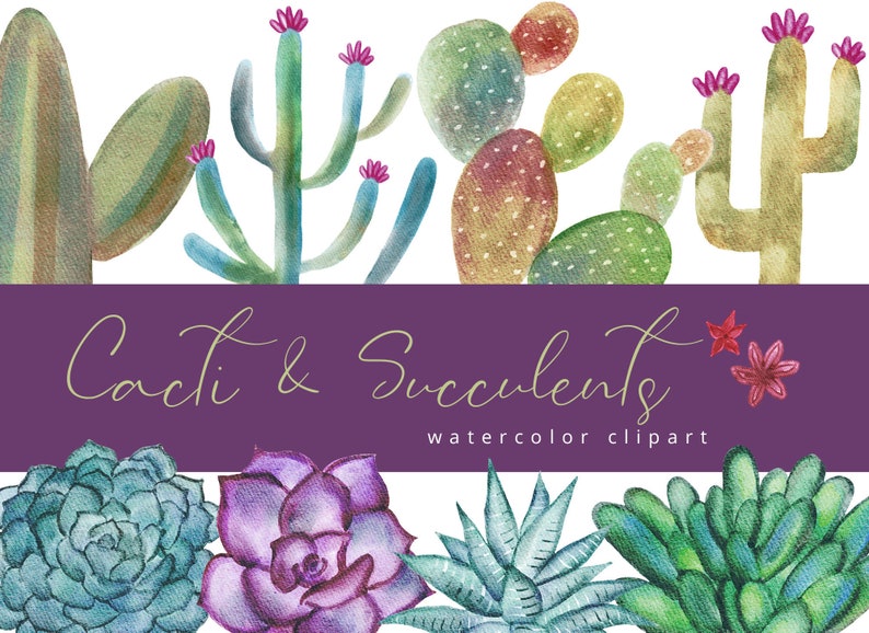 Cacti & Succulents Watercolor Clipart Cactus Art Succulent Art ...