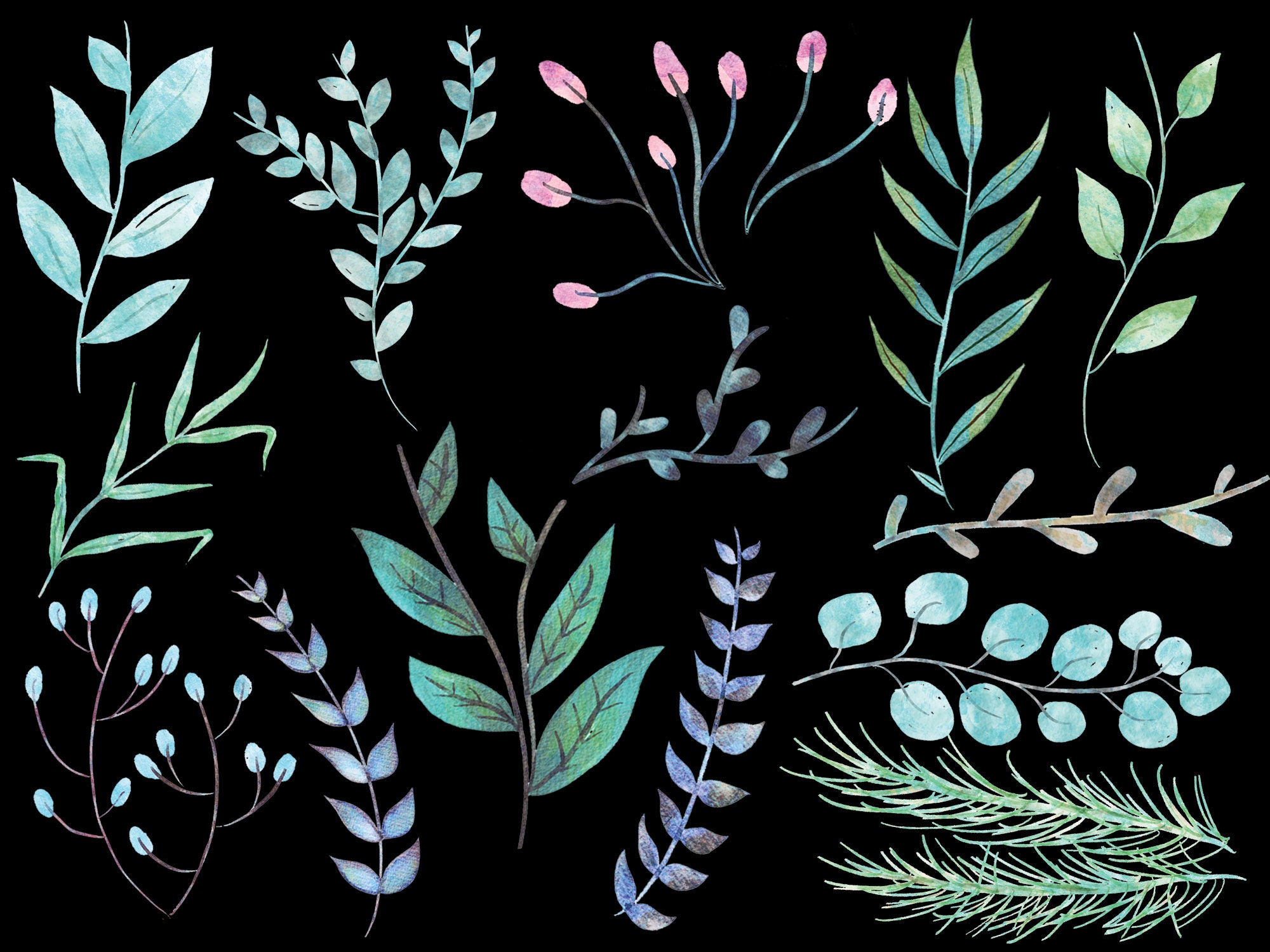 Foliage Watercolor Clipart Greenery Clip Art Eucalyptus | Etsy