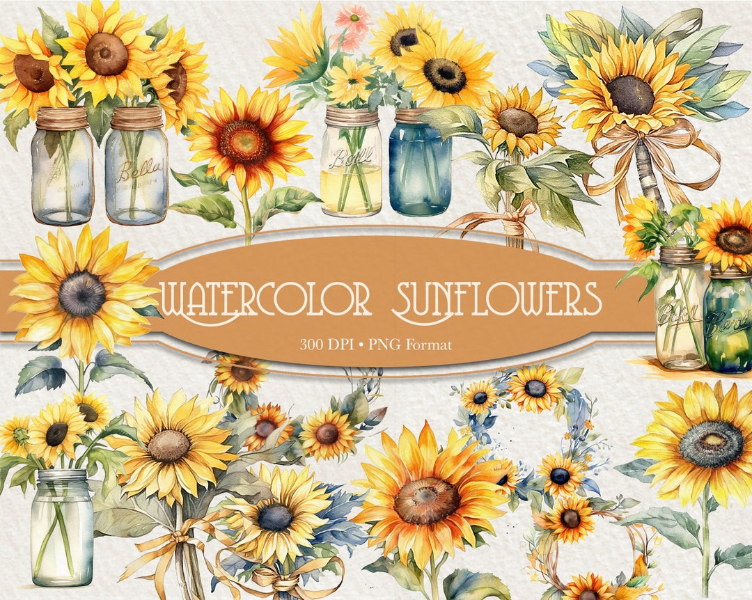 Watercolor Sunflowers Clipart - Pastel Sunflower Fall Floral Bouquets ...