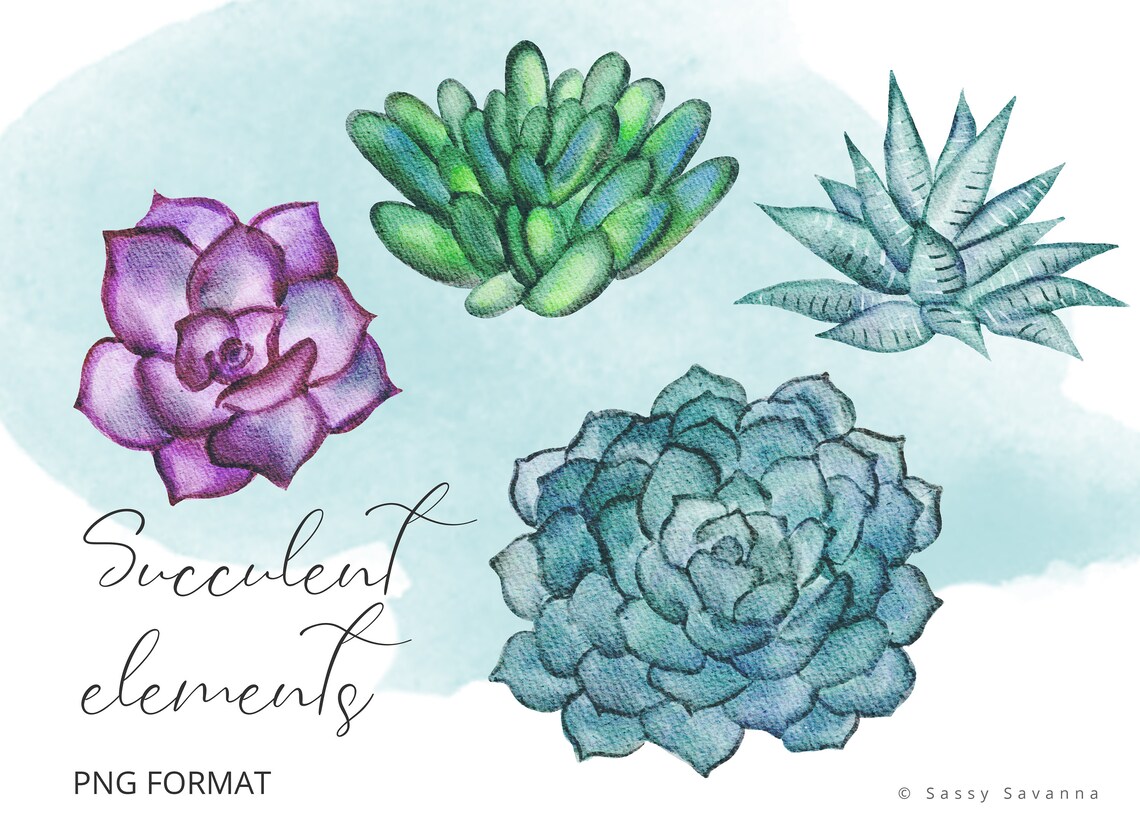 Cacti & Succulents Watercolor Clipart Cactus Art Succulent Art - Etsy