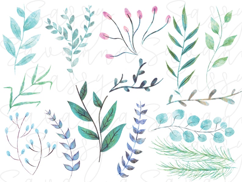 Foliage Watercolor Clipart Greenery Clip Art Eucalyptus - Etsy