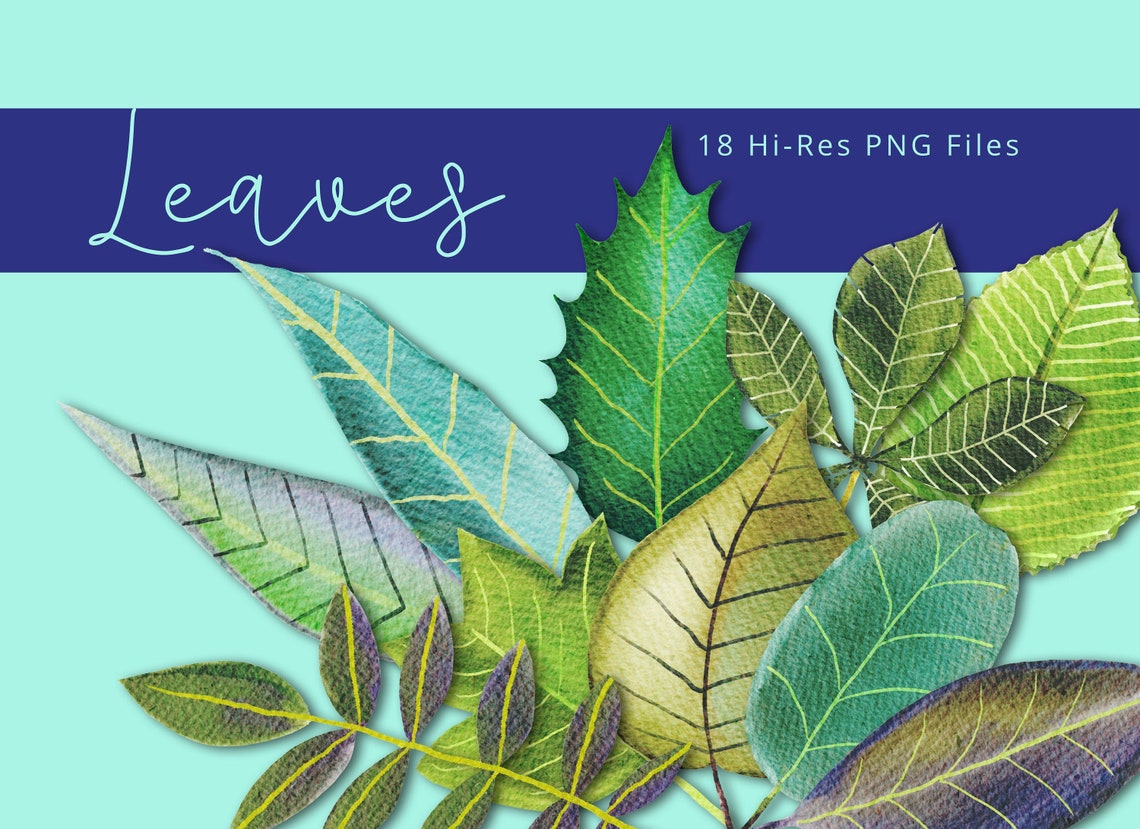 Watercolor Leaves Clipart Clip Art PNG Free Commercial Use Leaf Nature ...