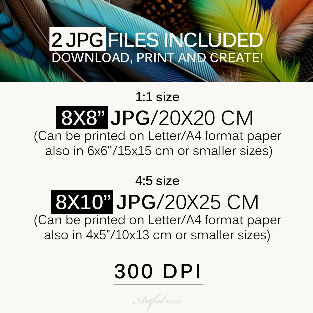 Letter R Printable Paper Color-rich R Alphabet Exotic Bird Feather ...