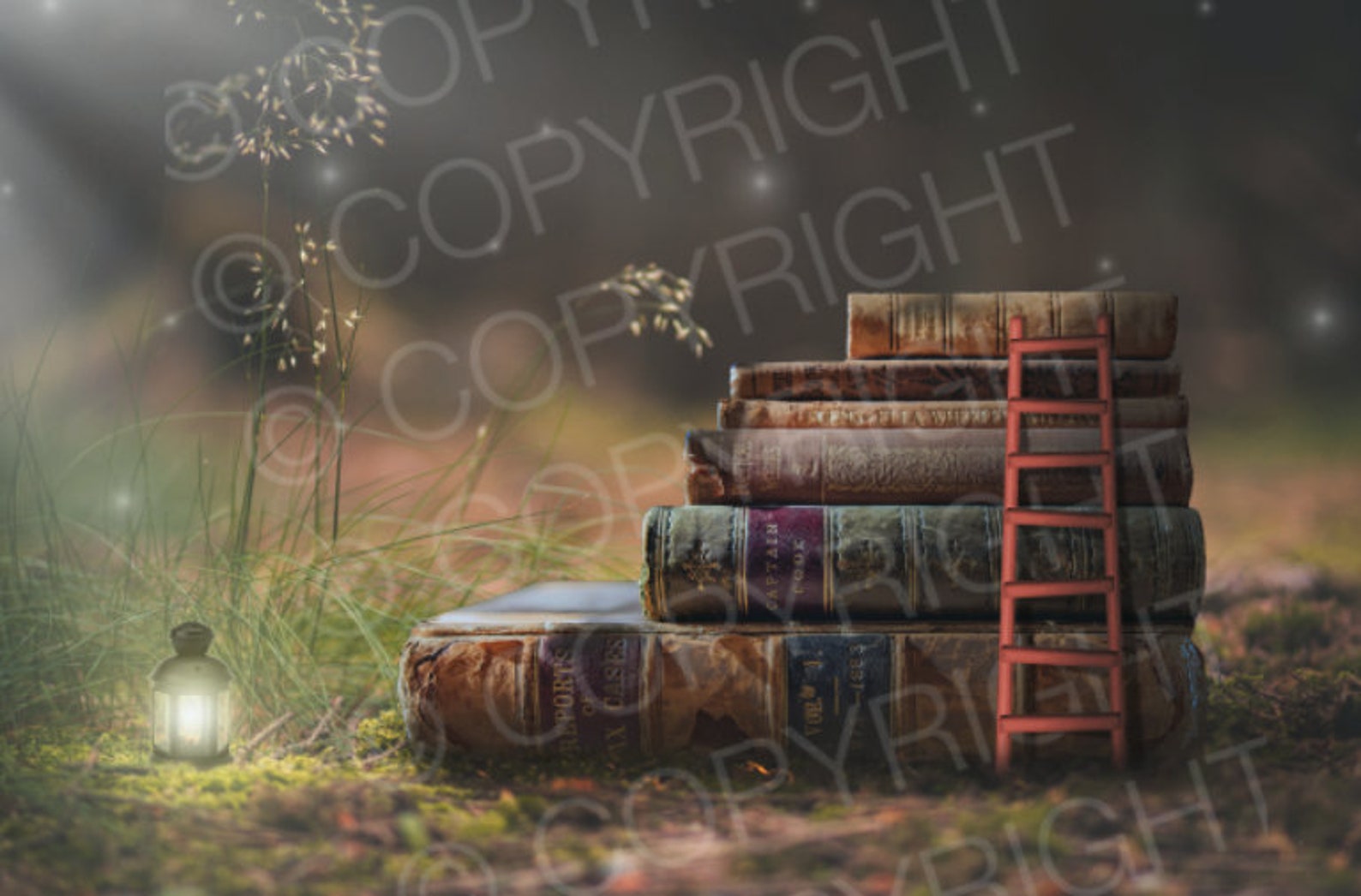 Book Fan Fairy Digital Background Backdrop Forest at | Etsy