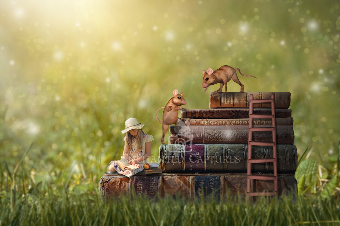 Book Fairy, Digital Background, Backdrop, Forest, Books, Fantasy, for ...