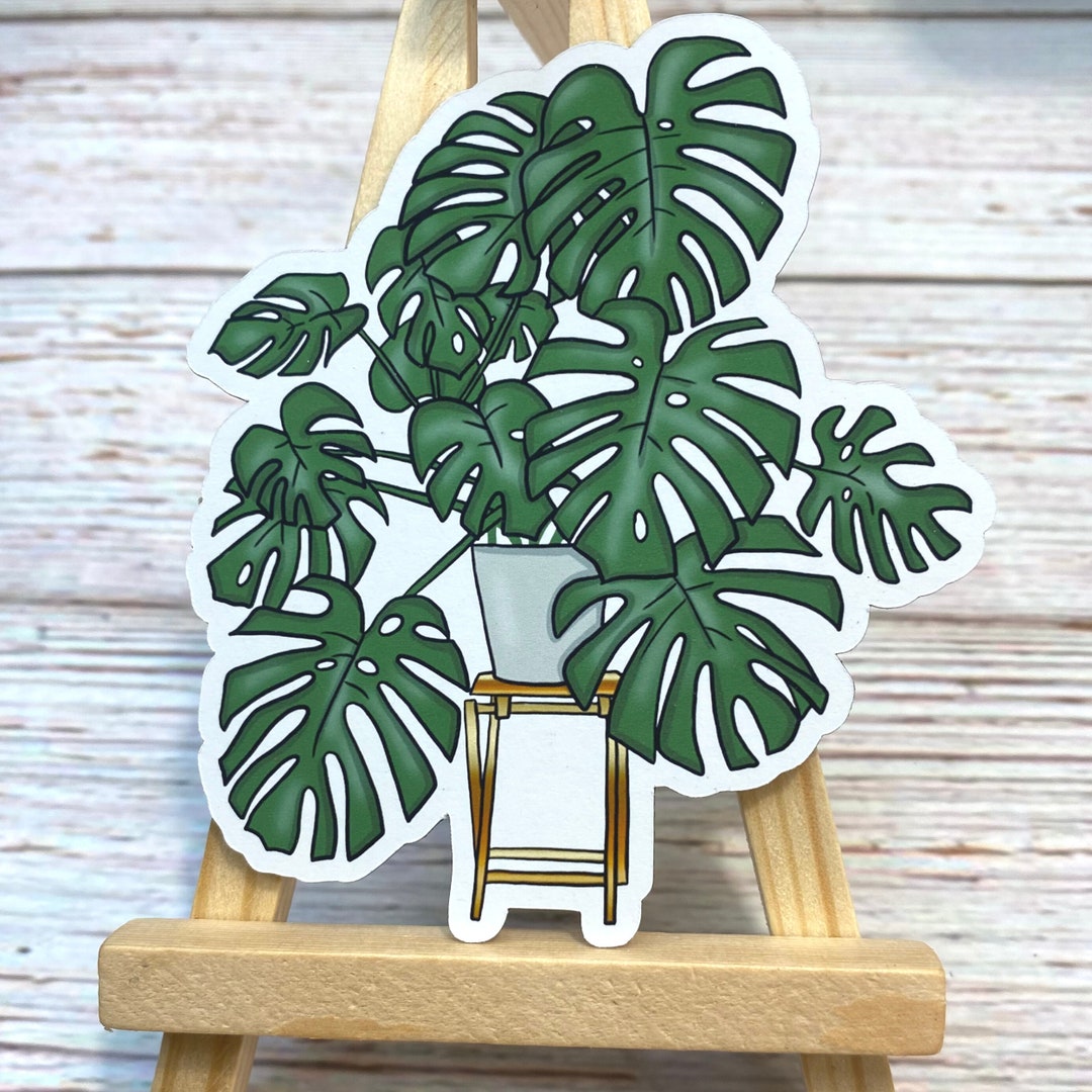 Houseplant Magnet | Monstera Plant | Fridge Magnet | Refrigerator ...