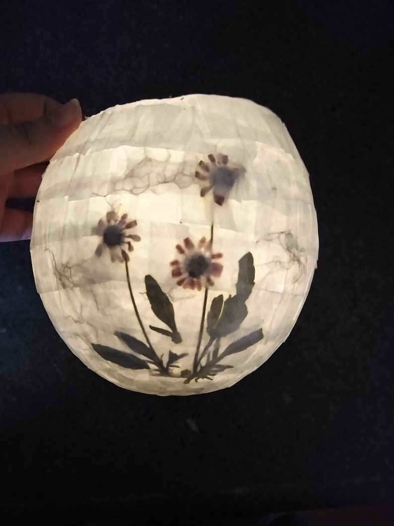 Craftsman Crate Papier Mache' paper Mache' Kit Artisanal Arts and ...