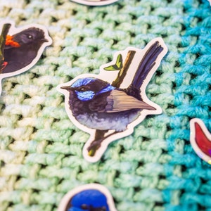 Fairy Wren Vinyl Sticker Australian Native Birds 3 Inch Weather ...