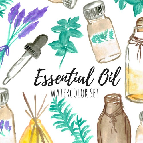 Watercolor Essential Oil Clipart Herbs Floral Clip Art - Etsy