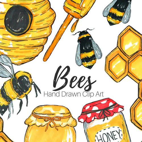 Bee Clipart. Hand Drawn Honey Hive Clip Art. Doodle Floral - Etsy