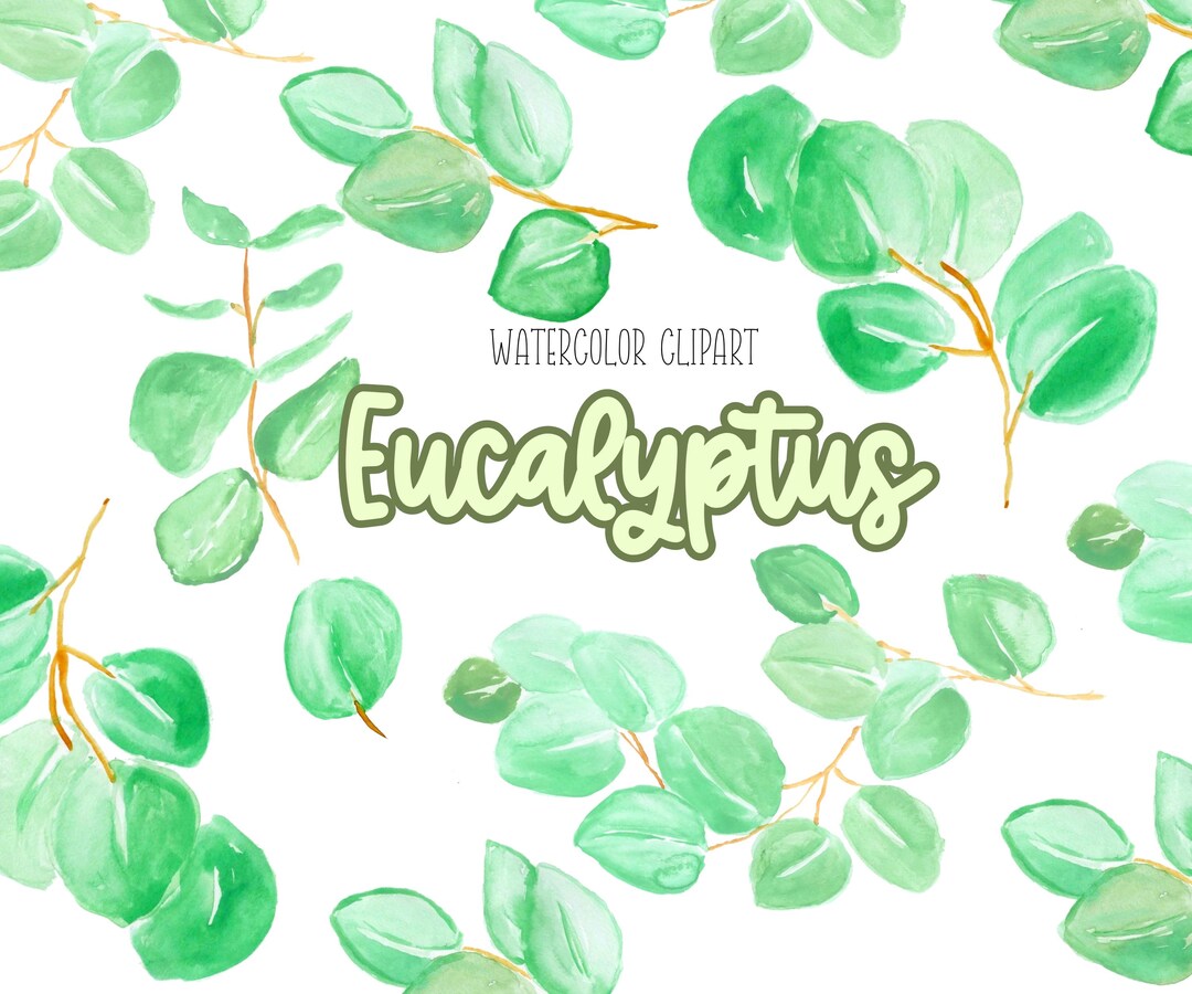 Watercolor Clipart Eucalyptus, Greenery, Wedding Floral, Floral ...