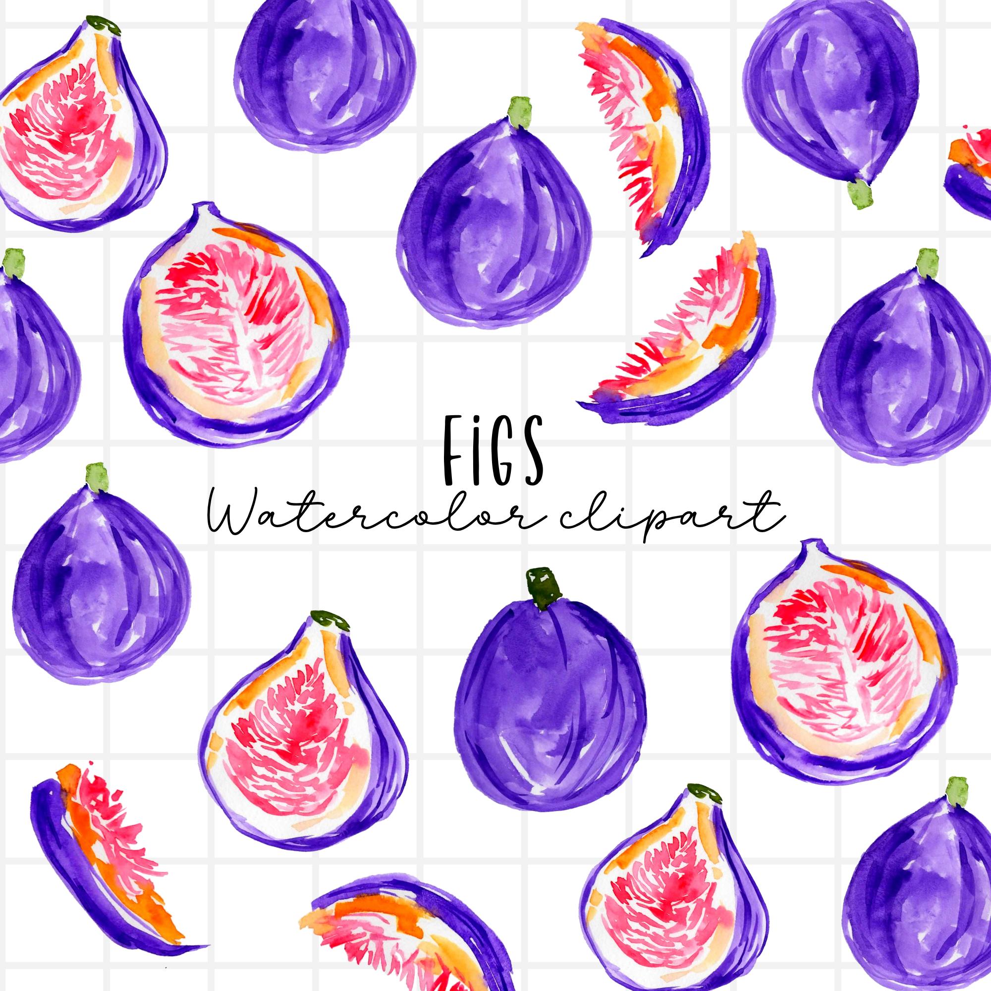 Watercolor Fig Clipart, Fruit, Food Graphics, Digital Download ...