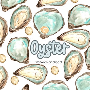 Watercolor Clipart Oyster Clipart Summer Clip Art Seafood Graphics ...
