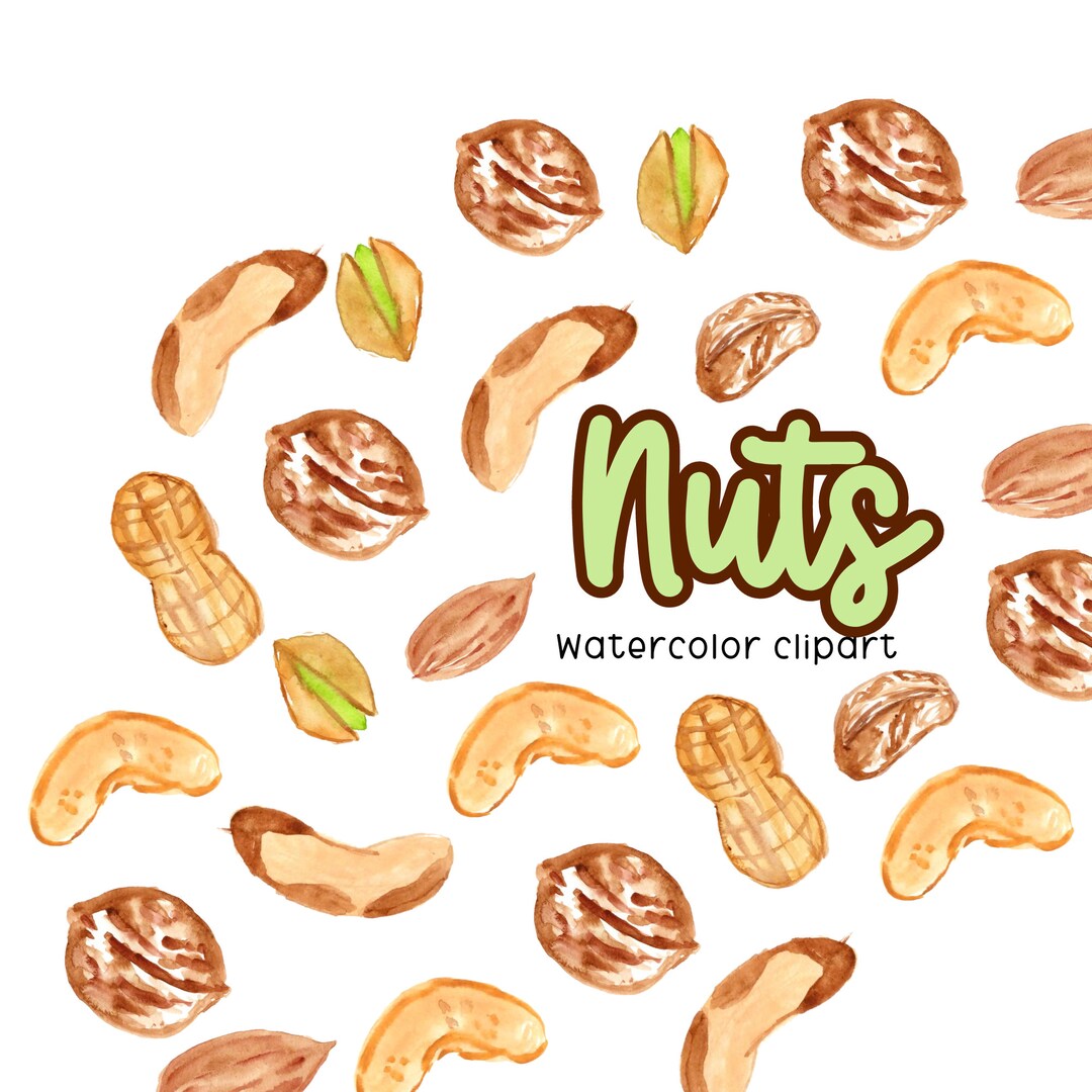 Watercolor Clipart - Food Clipart - Nut Clipart - Mix Nuts Clipart ...