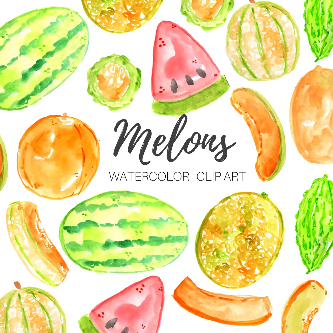 Watercolor Melon Clip Art Fruit Clip Art Food Graphics - Etsy